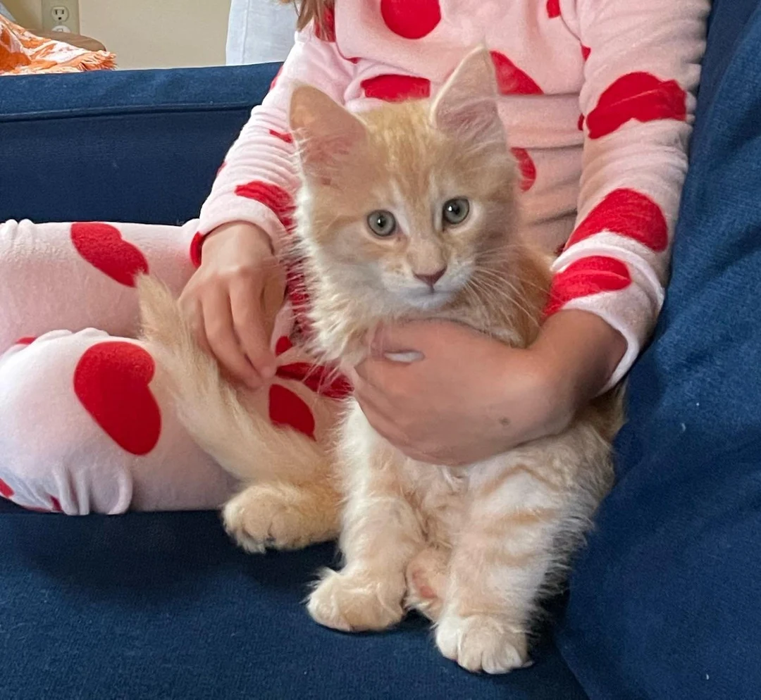 Welcome, Floyd! 🧡 | Scrolller