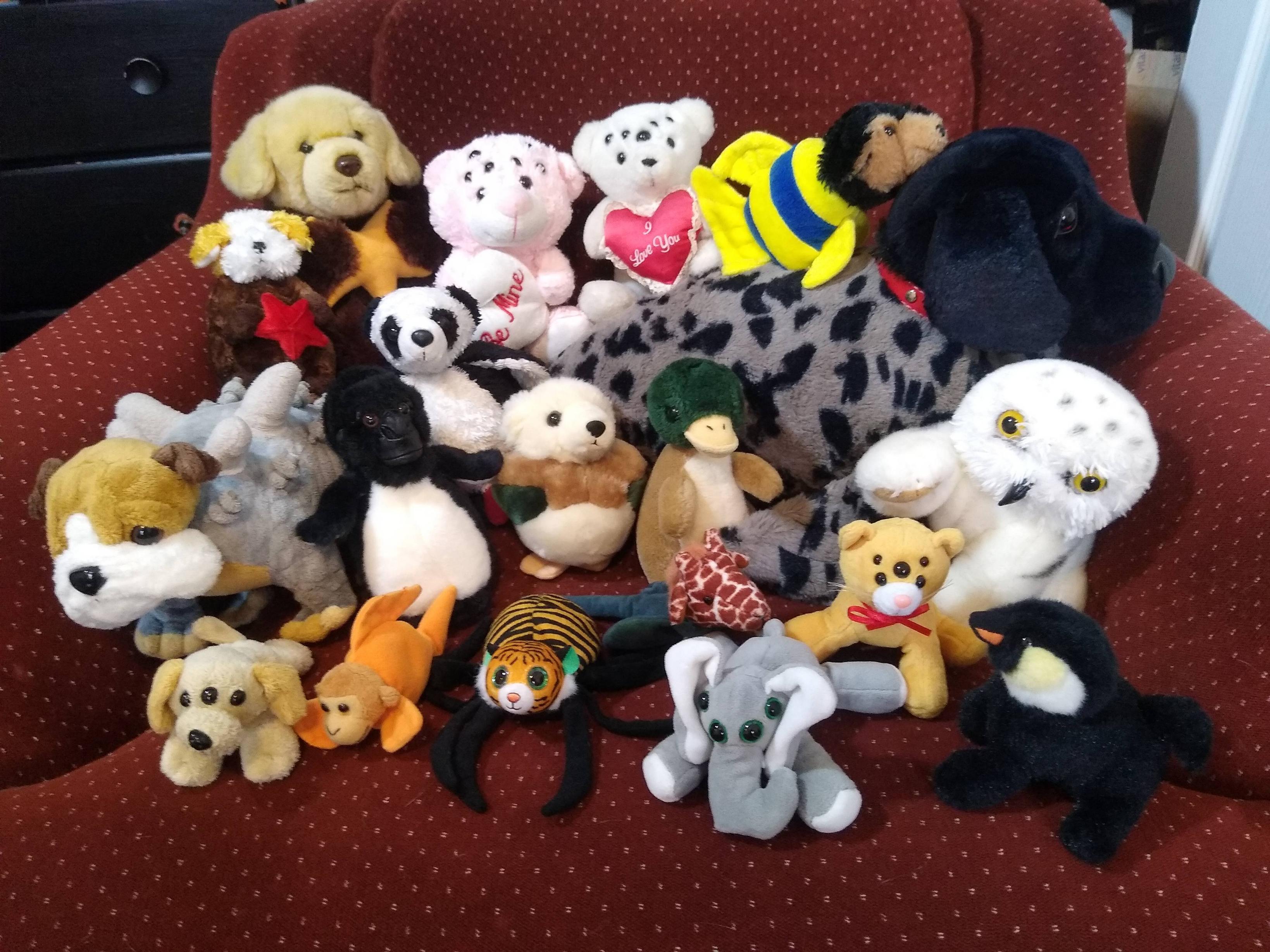 My mutant plushie creatures | Scrolller