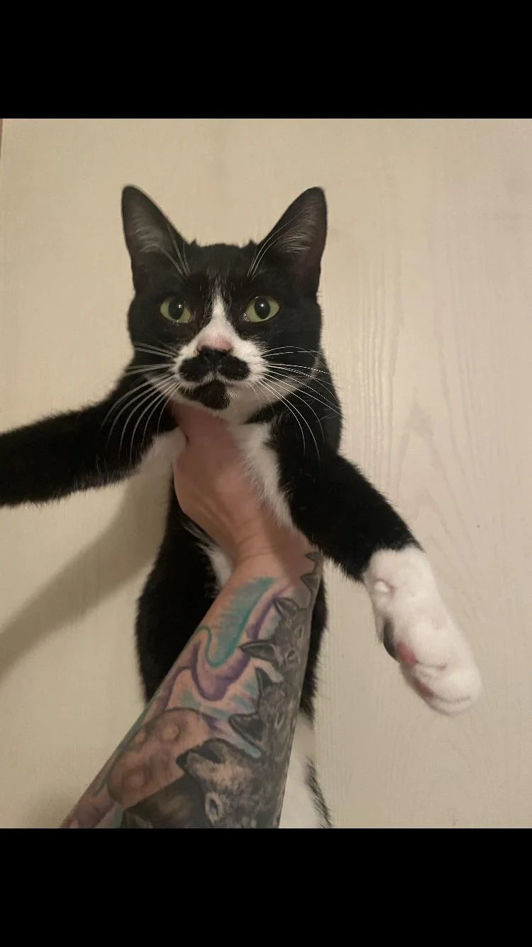 Name ideas for new female rescue? | Scrolller