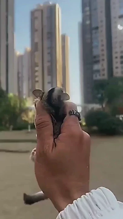 Once a great man said mission failed | Scrolller