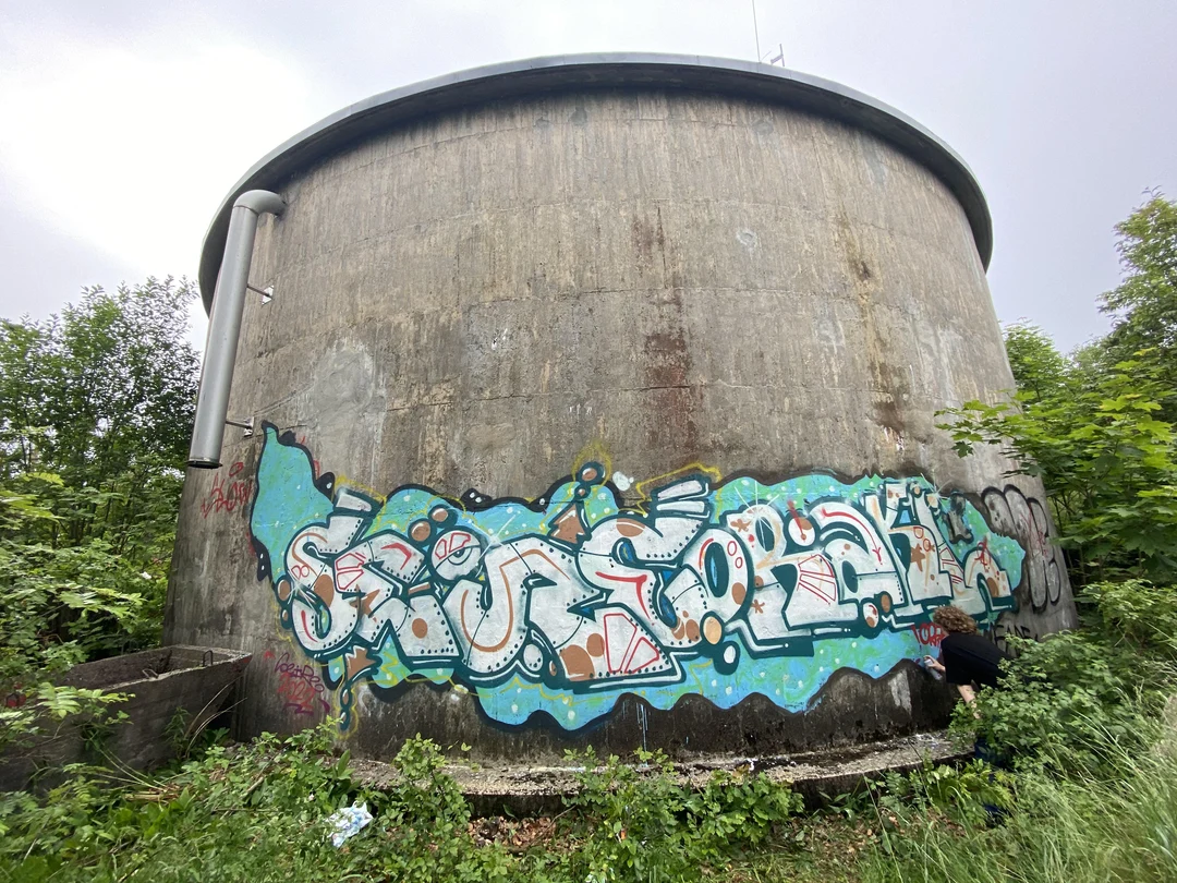 Seire orakel graffiti | Scrolller