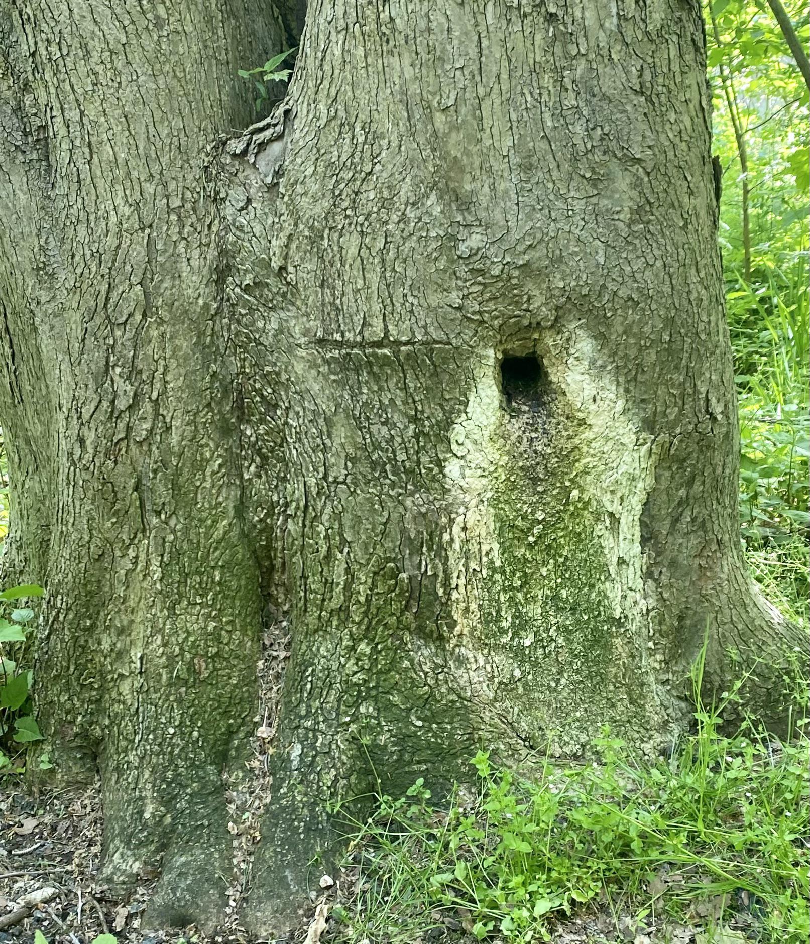 Ooops, looks like I’m too late | Scrolller