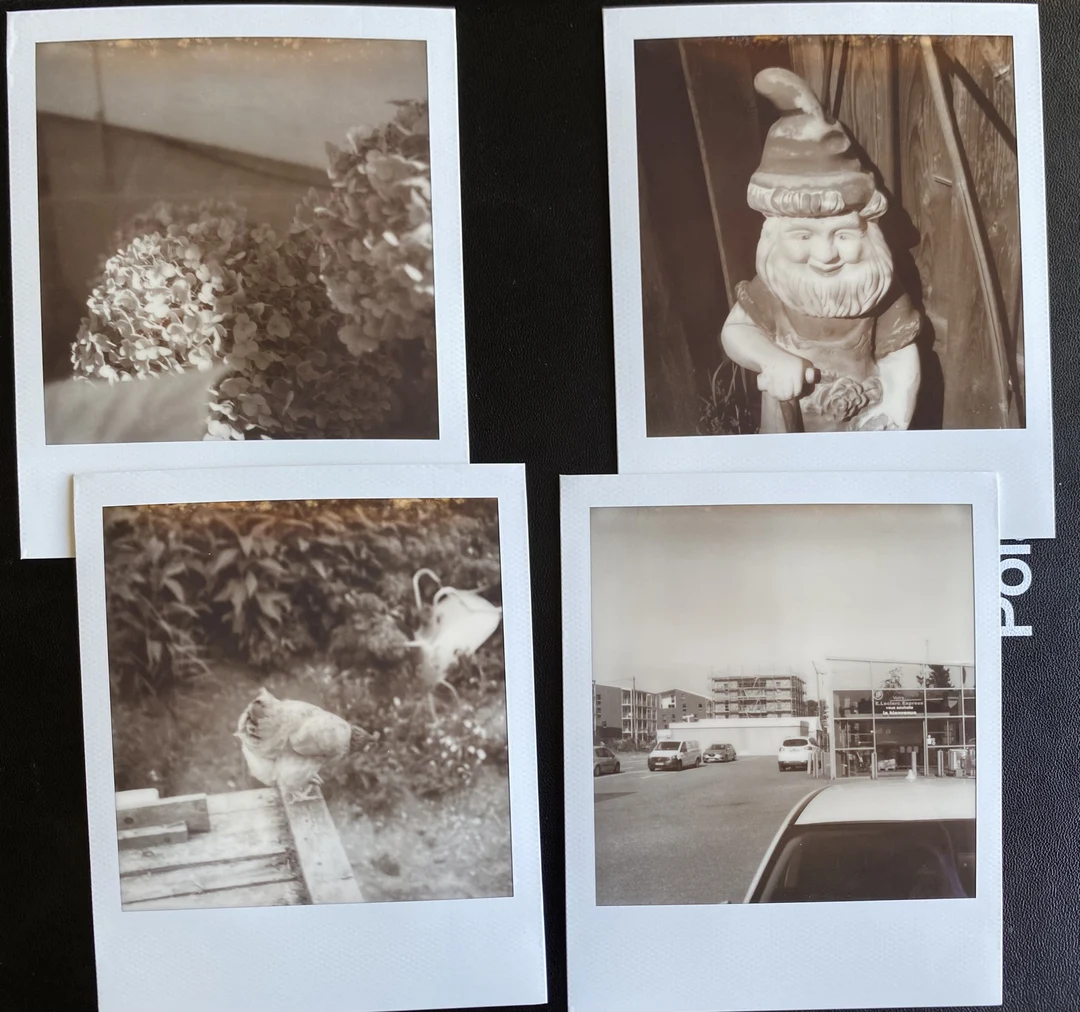 Month old B&W shots gradually turning brown, with weird spots developing on top. Does anybody ...