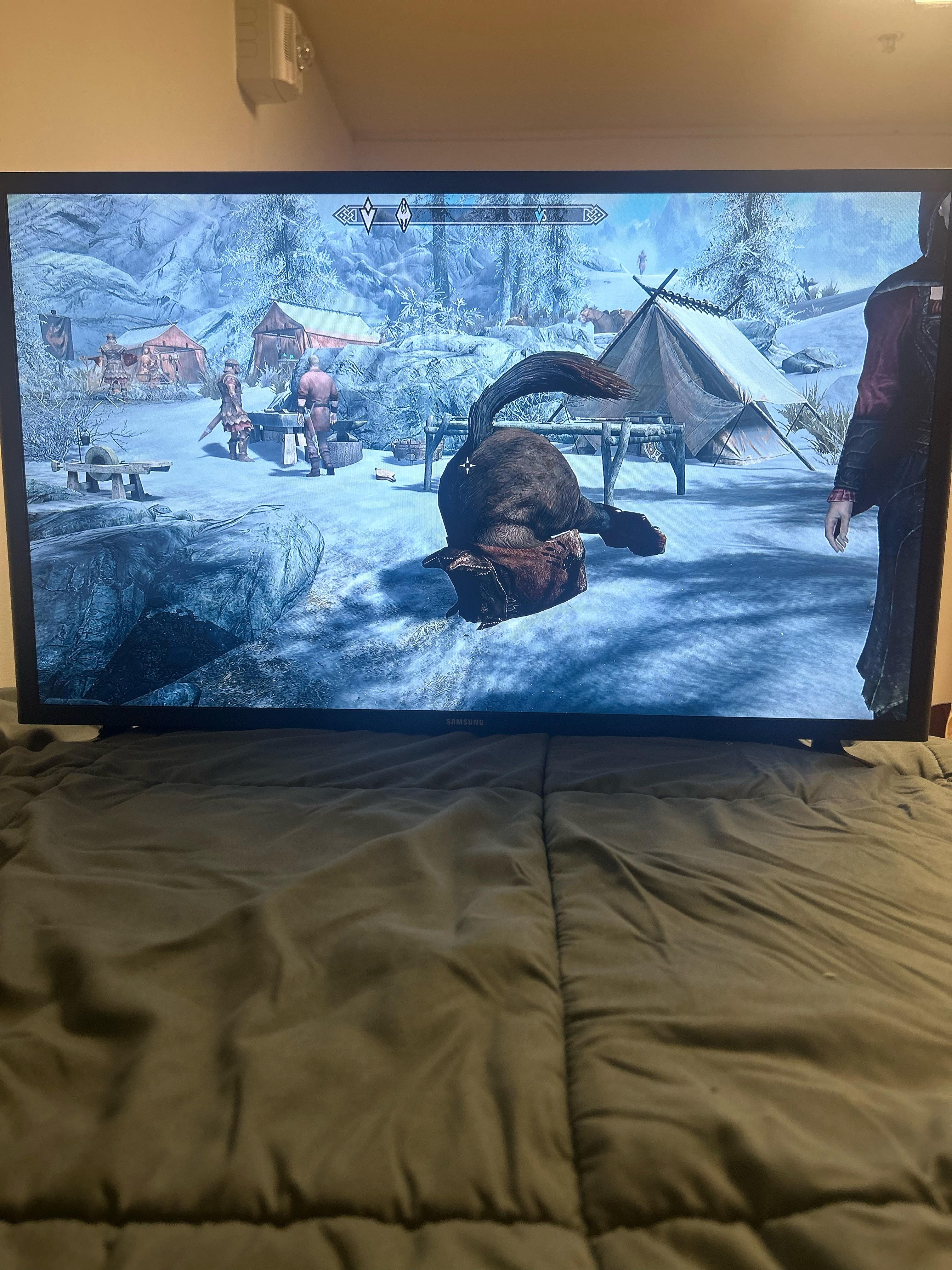 I love Skyrim | Scrolller