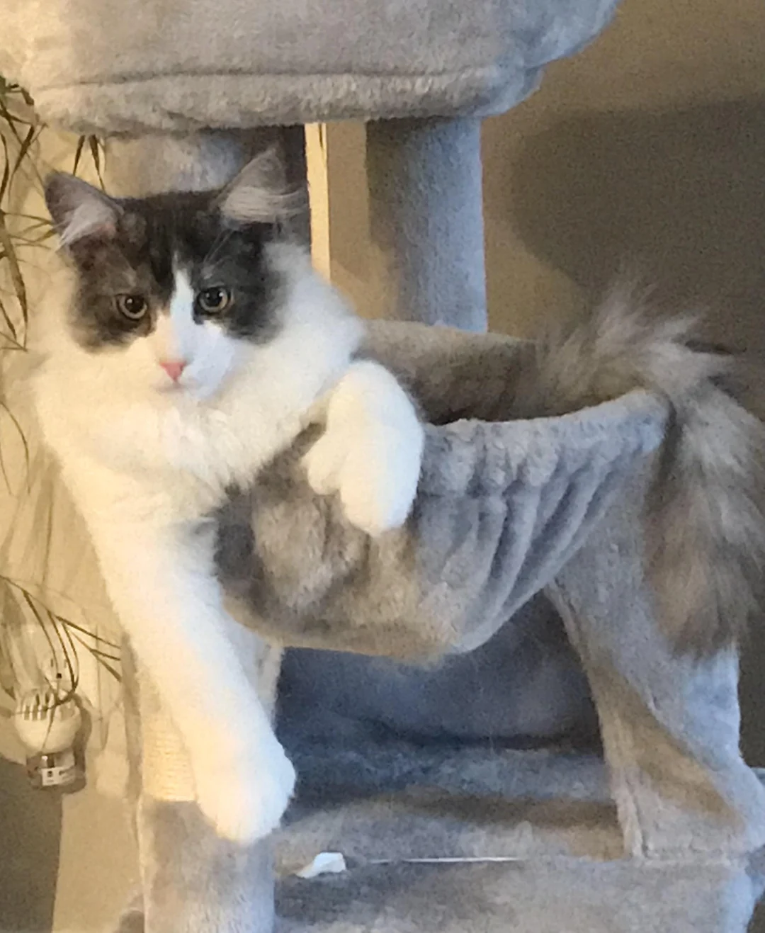 I am all thumbs!! Maui man!! | Scrolller