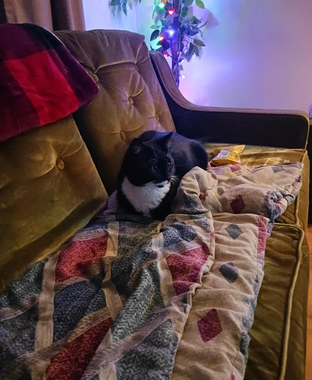 Socks in loaf form. | Scrolller