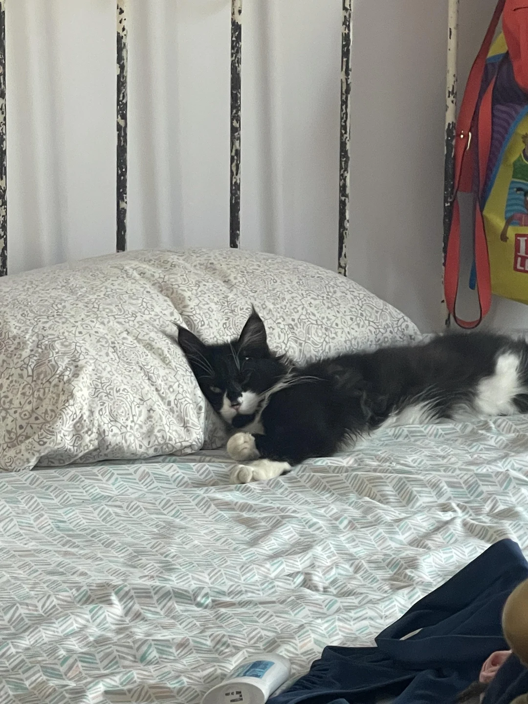 Poseidon, 6 months | Scrolller