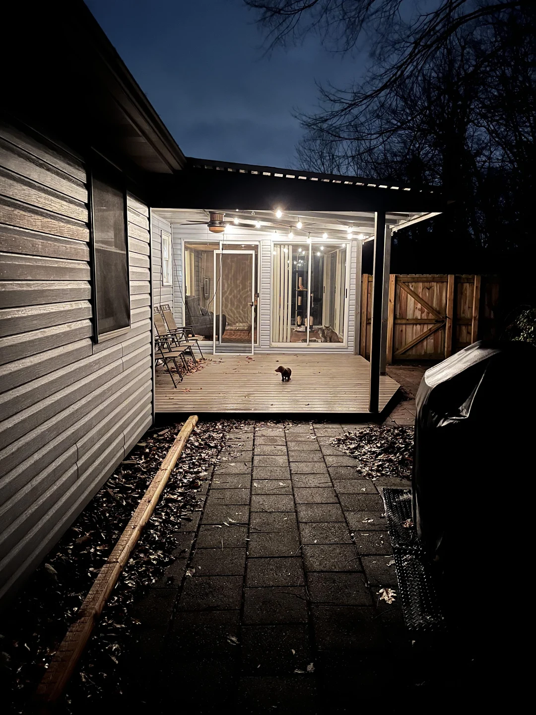 Our cozy, closed in, back “yard”/patio | Scrolller