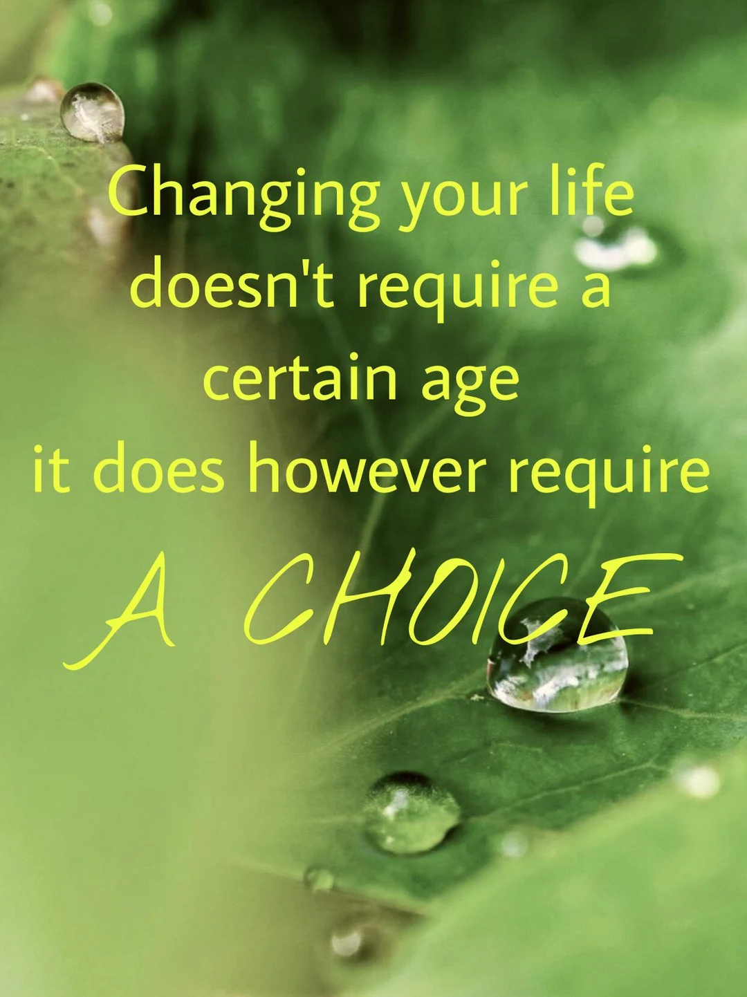 [Image] A Choice | Scrolller