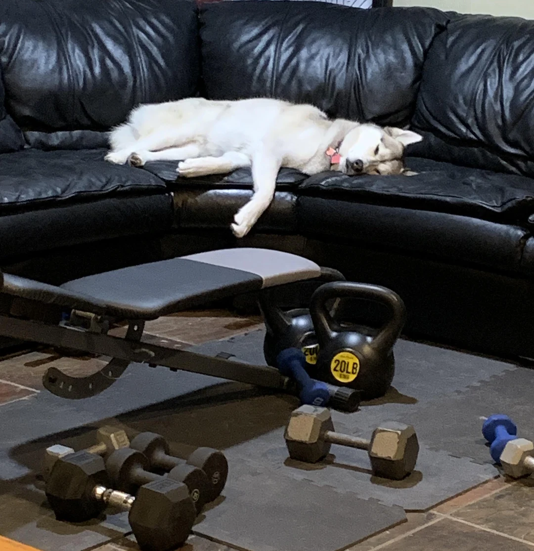Must have been a Ruff workout | Scrolller