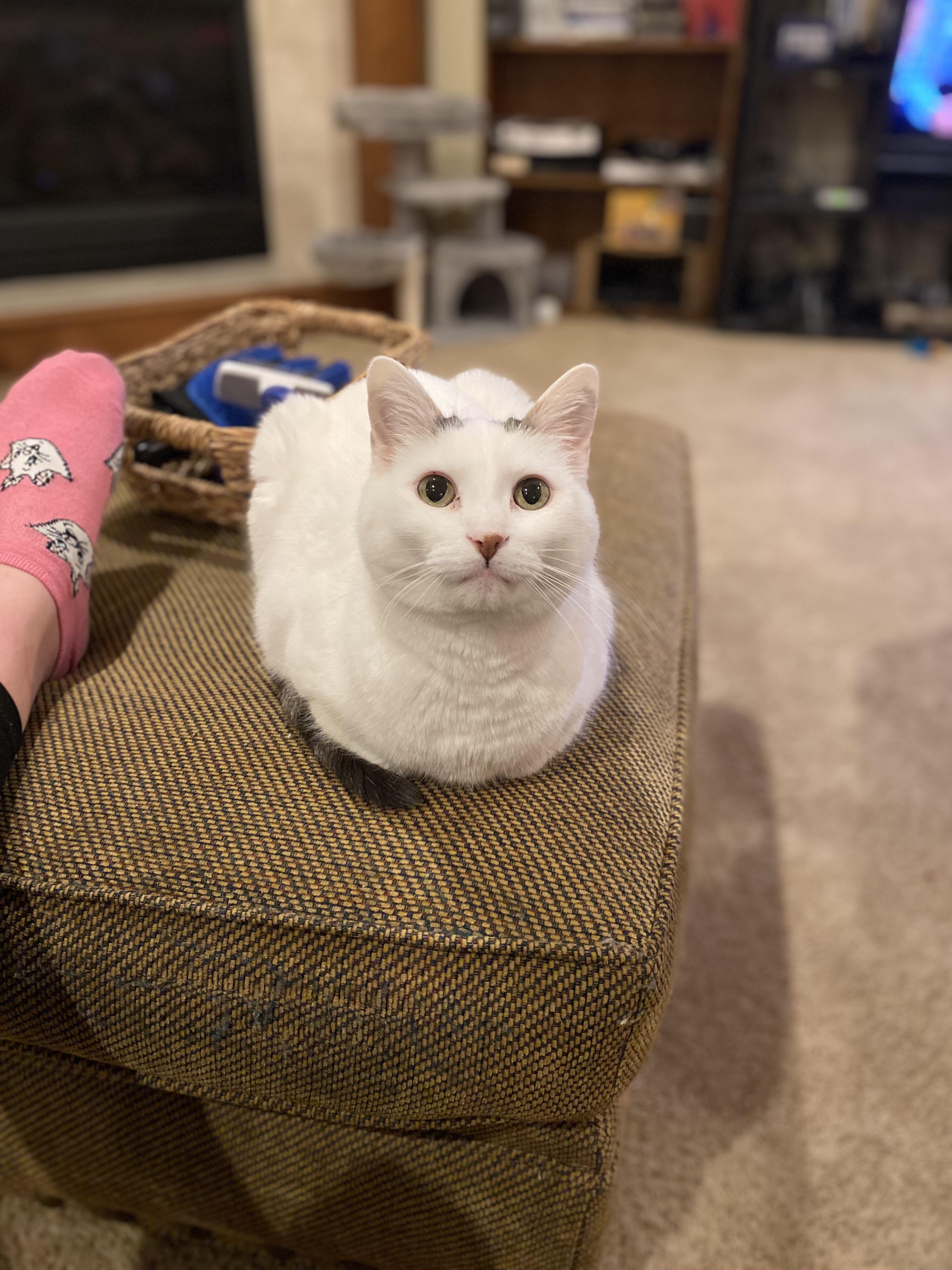 Handsome raw loaf | Scrolller