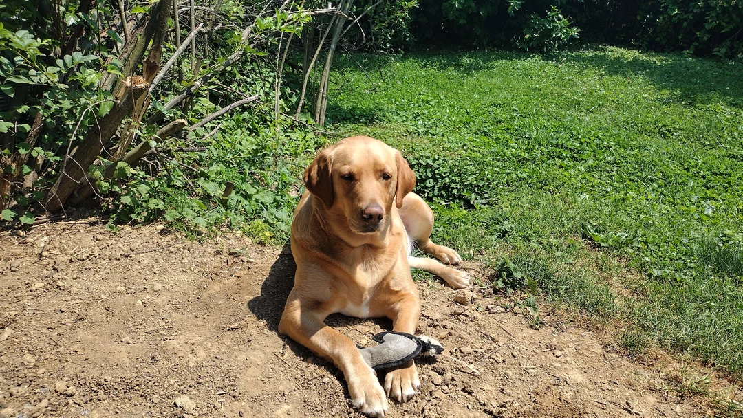 Just look at this magnificent bastard | Scrolller