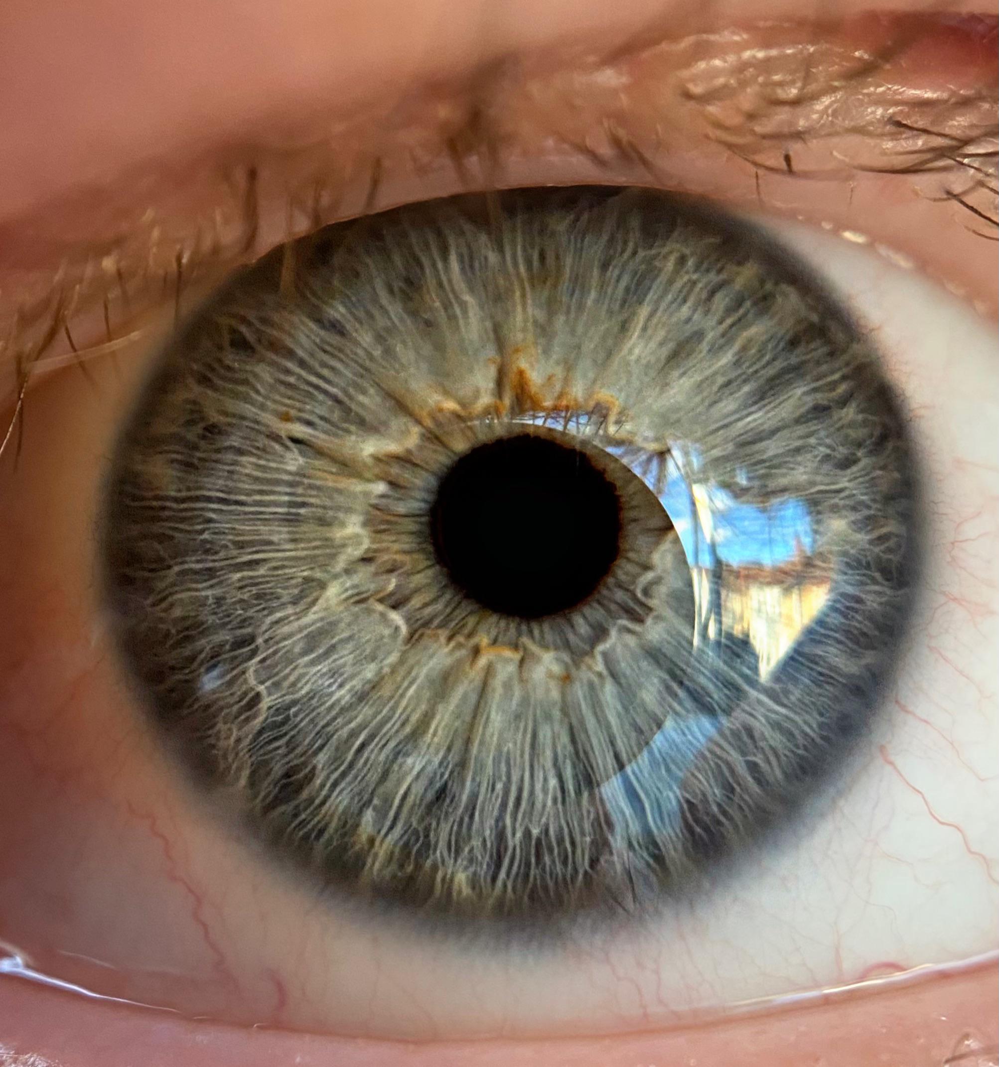 Macro shot of my eye :) | Scrolller