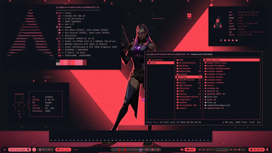 [bspwm] added VALORANT theme | Scrolller