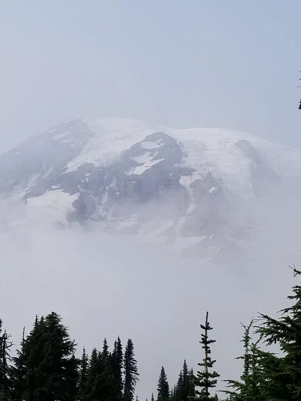 [OC] A moody Mt. Rainier in Mt. Rainier National Park {3024x4032} | Scrolller