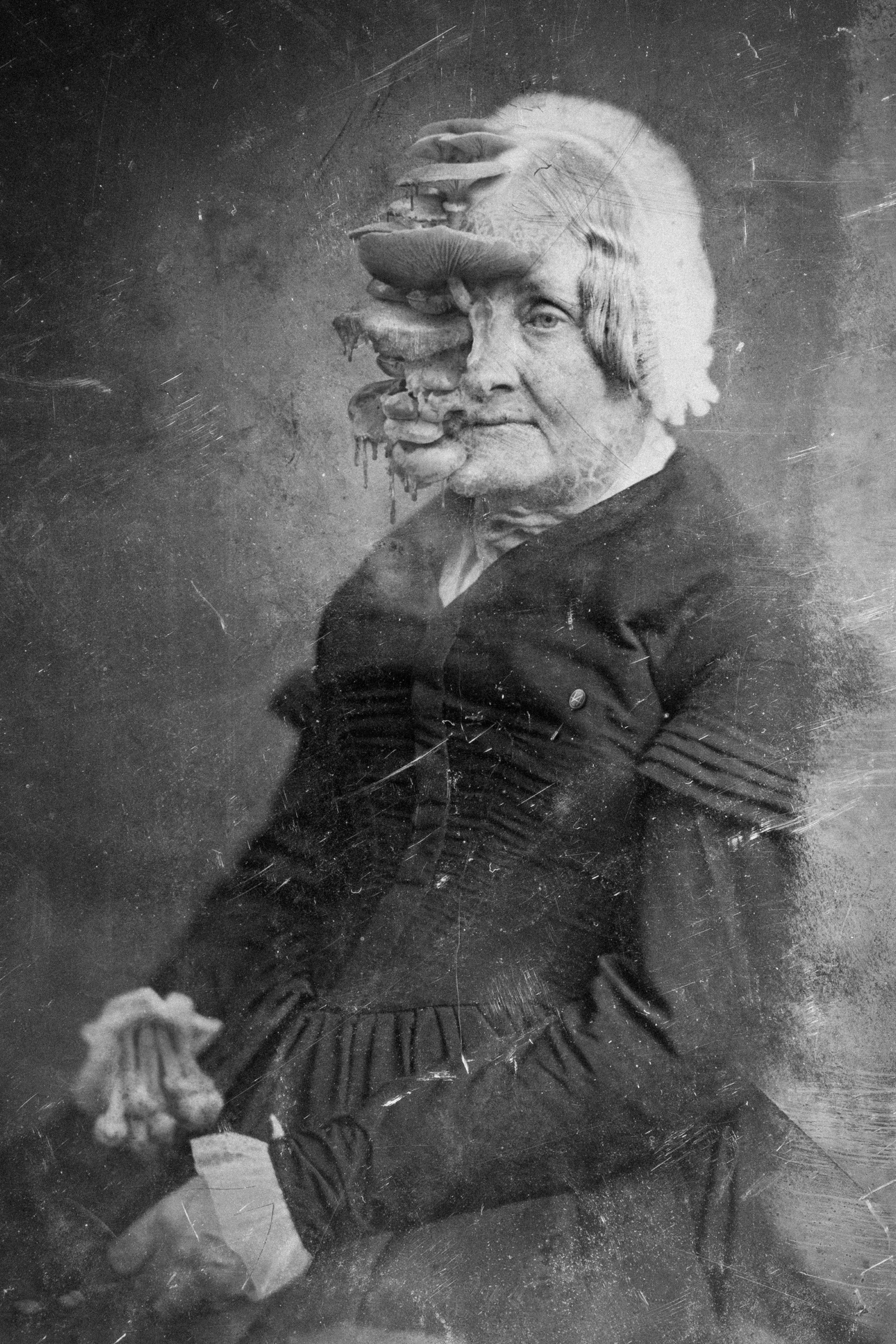 Mycelium Infection (Photoshop art by Valdevia) | Scrolller