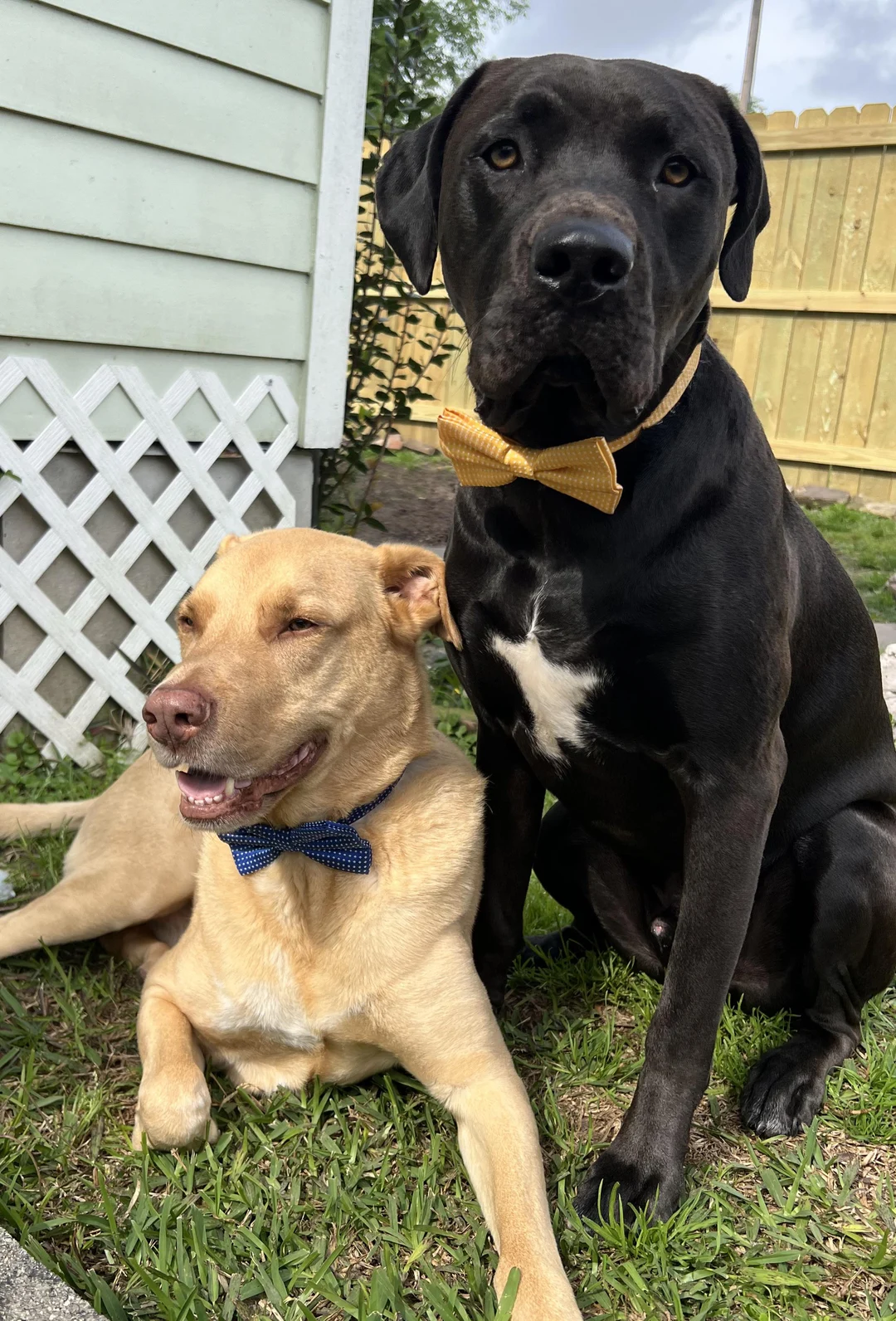 Looking dapper | Scrolller