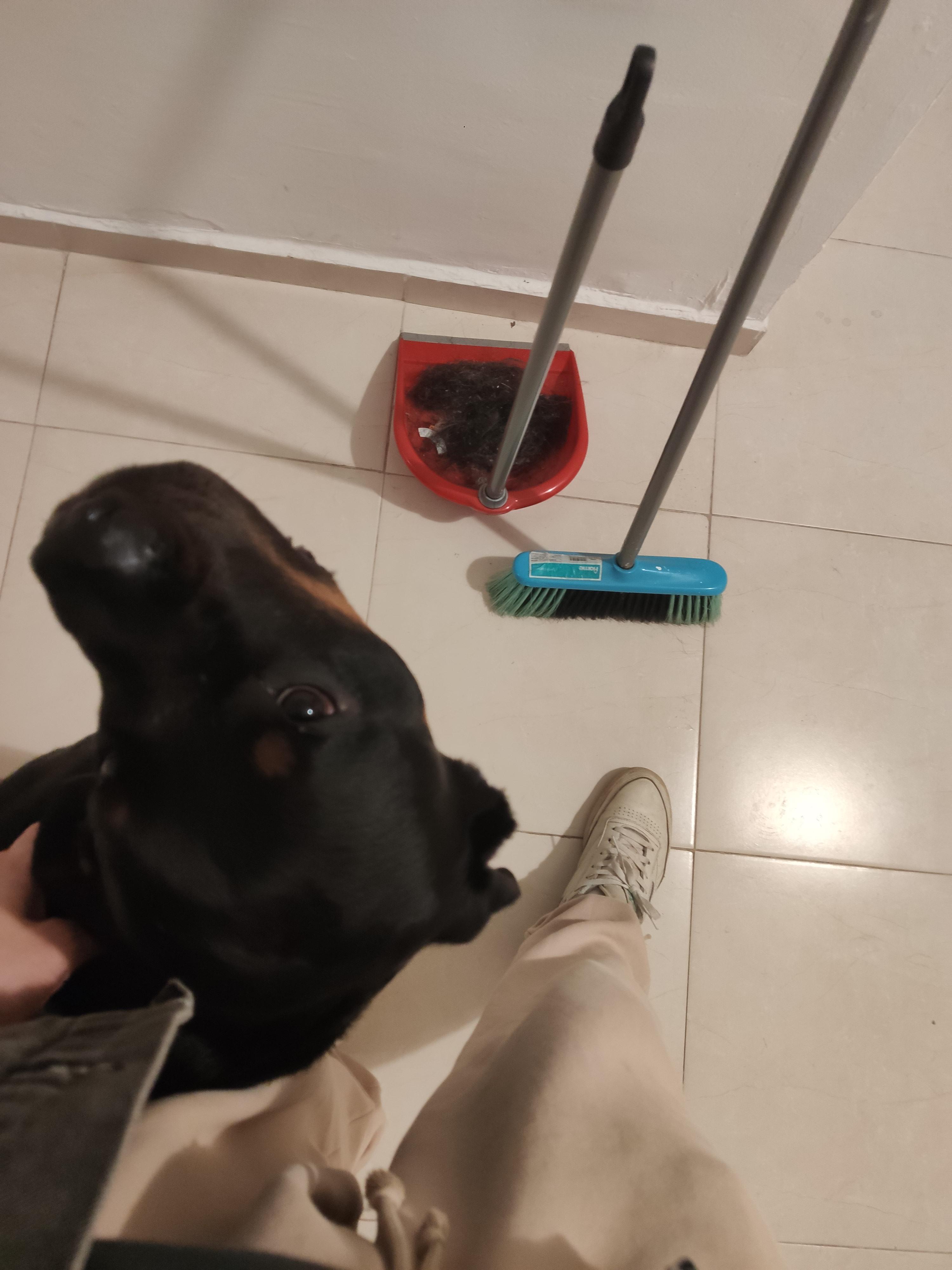 Shedding season | Scrolller