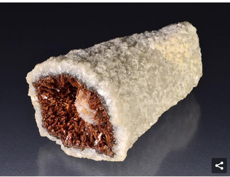 Forbidden flesh | Scrolller