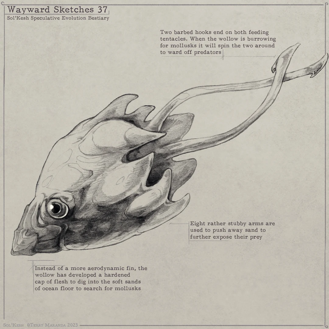 Wayward 36 - Digging Squids | Scrolller