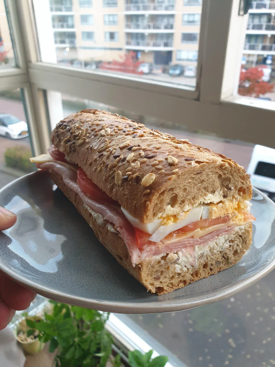 Tomato gouda cheese egg and ham | Scrolller