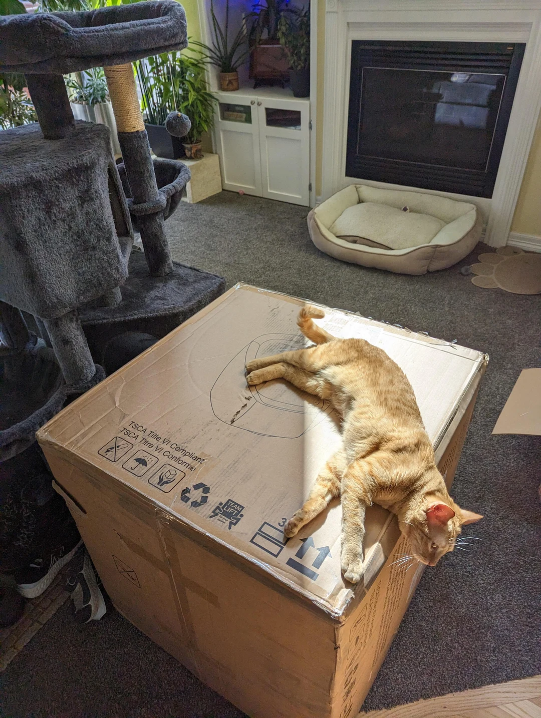 Solar powered trap | Scrolller