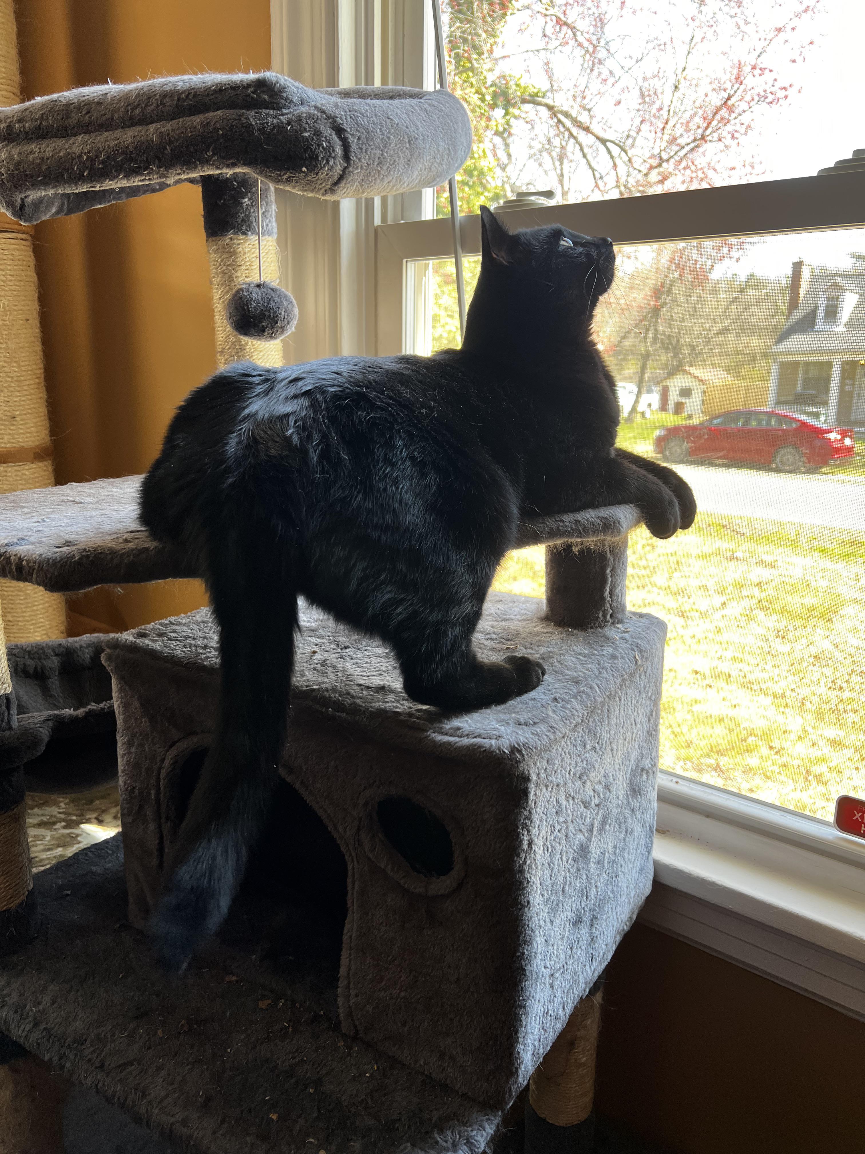 Glorious lounge void | Scrolller