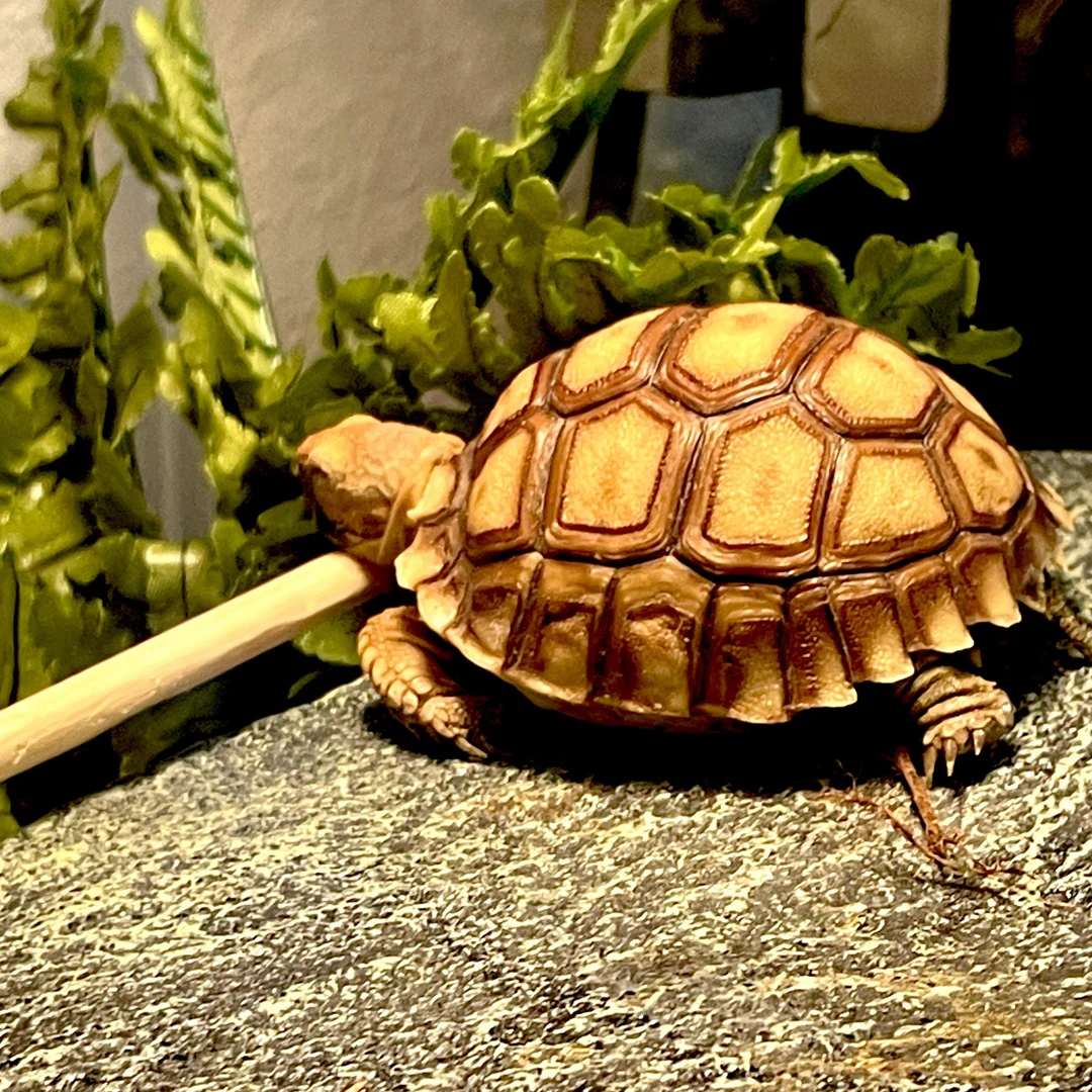 Derpasaurus Resting His Head | Scrolller