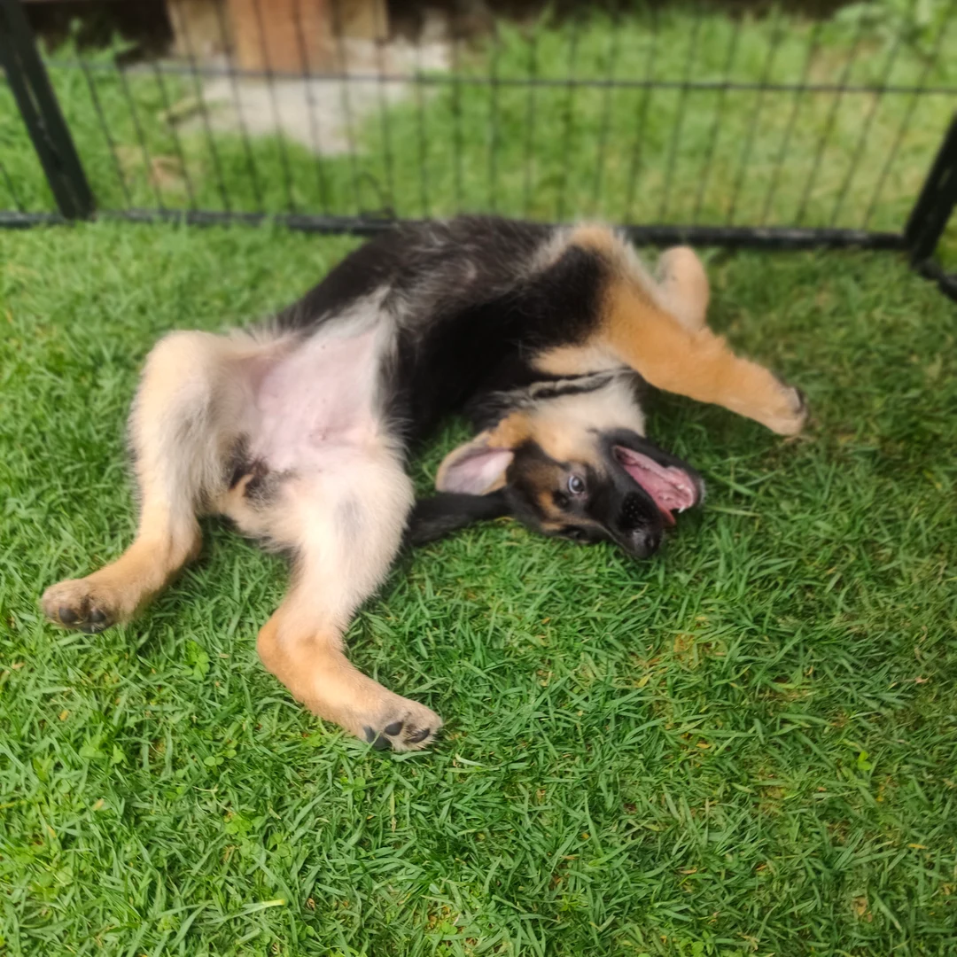 where do I even begin... | Scrolller