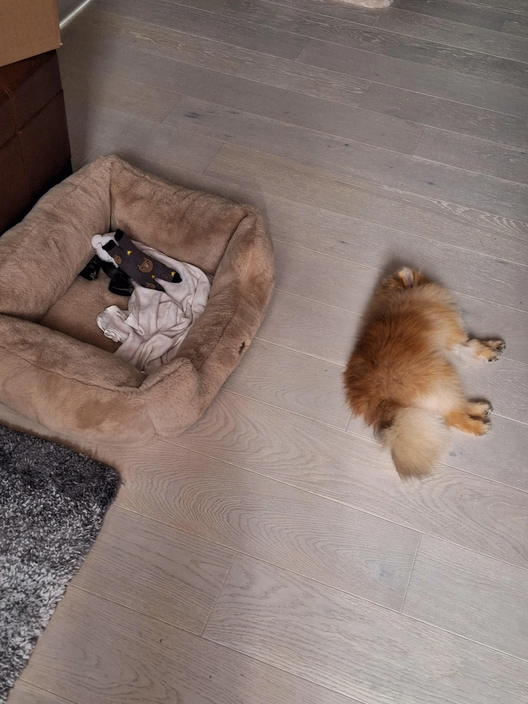 (OC) I think you missed the bed there... | Scrolller