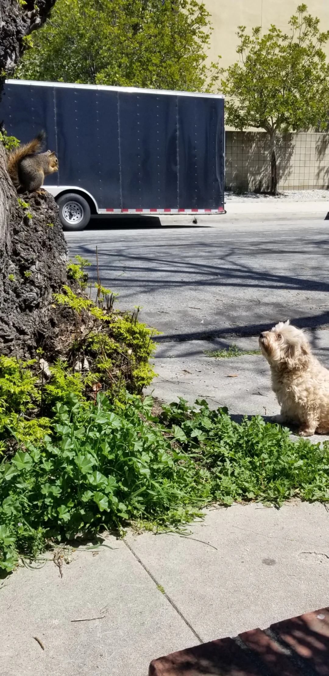 This is a daily occurrence. She eats her snacks, he watches politely. | Scrolller