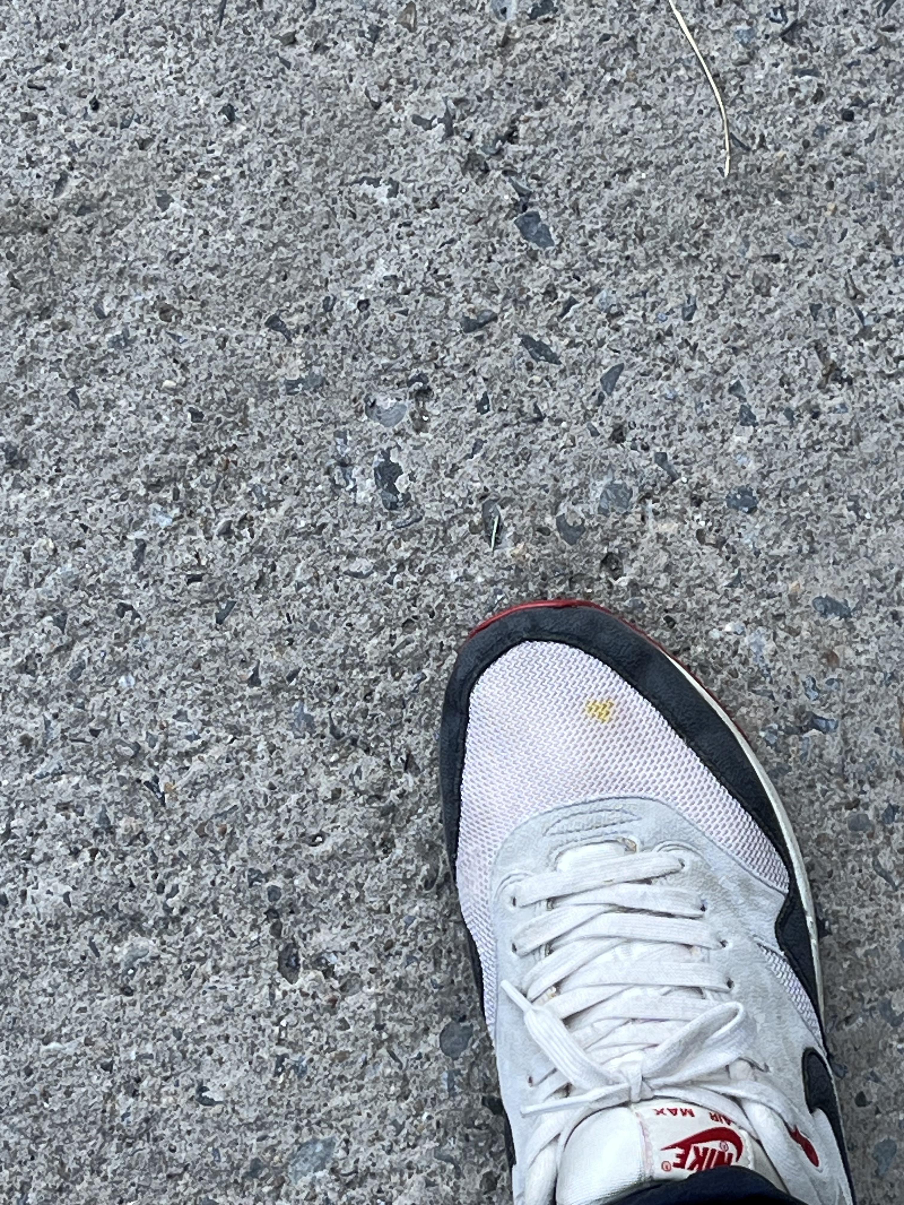 Discover more like Sneakers: Oil drop on my AM1 just now 😔 any advice?? and Related Content ...