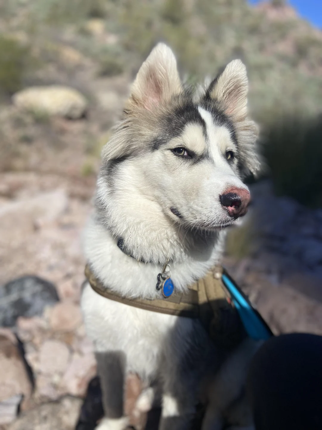 Prismo’s side eye | Scrolller