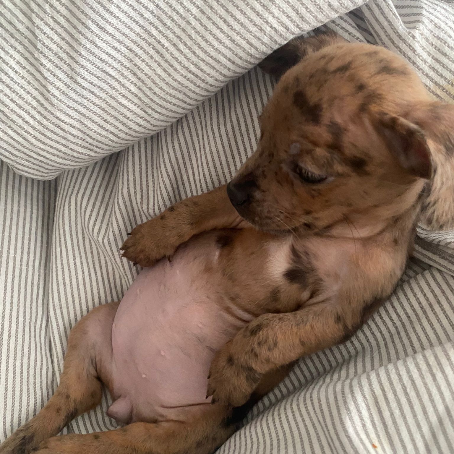 After a long workweek.. Time to recharge! | Scrolller