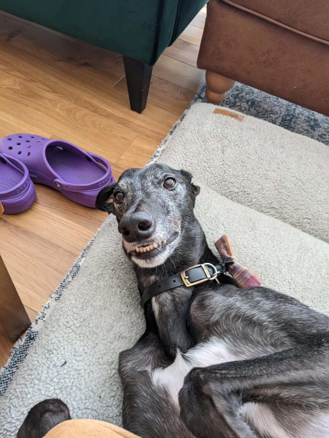 Well this is awkward | Scrolller