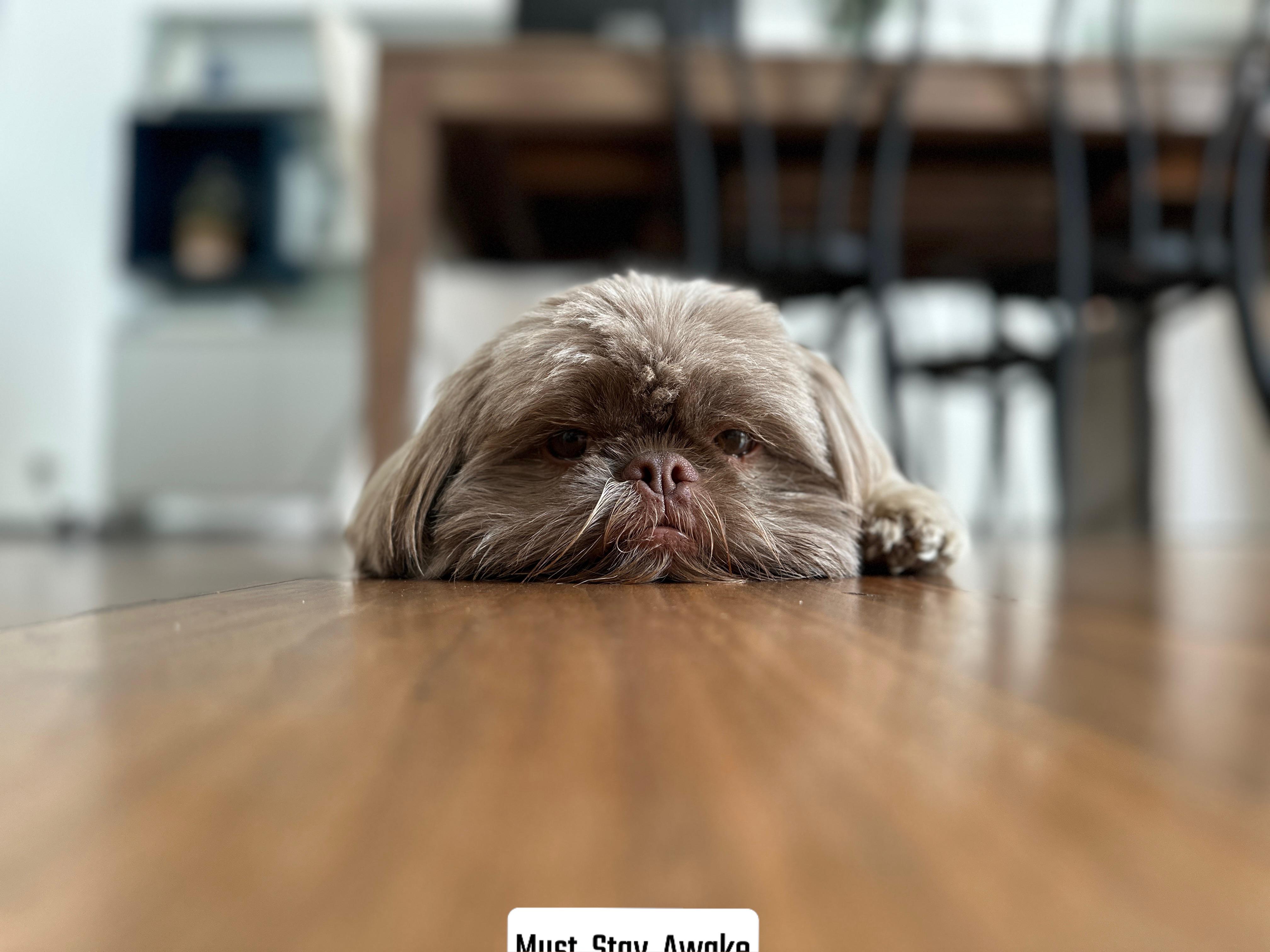 Must. Stay. Awake. | Scrolller