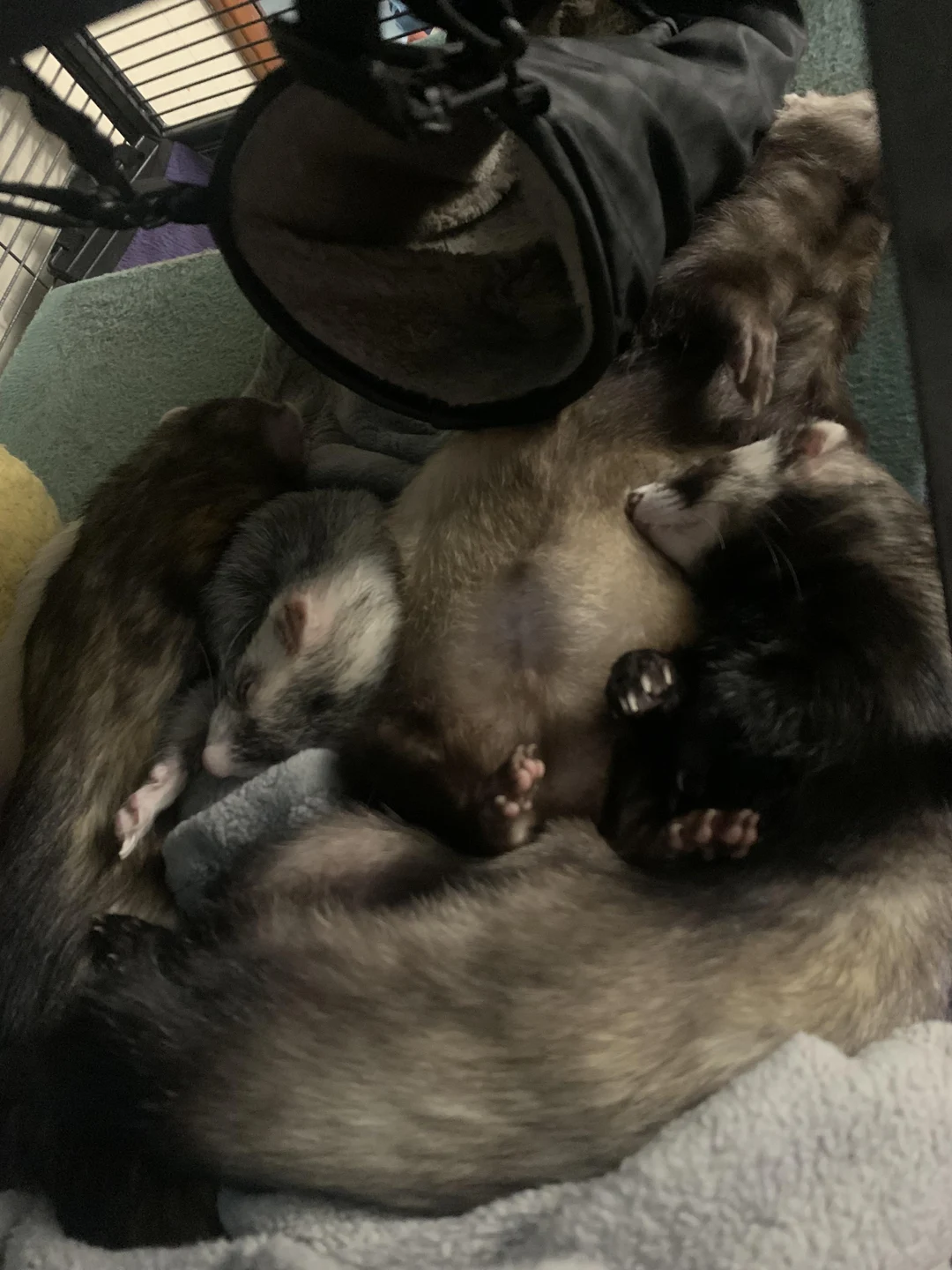 My Noodles | Scrolller