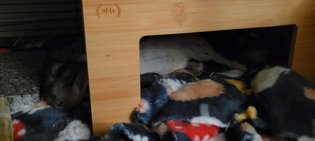 One of my boys almost gave me a heart attack | Scrolller