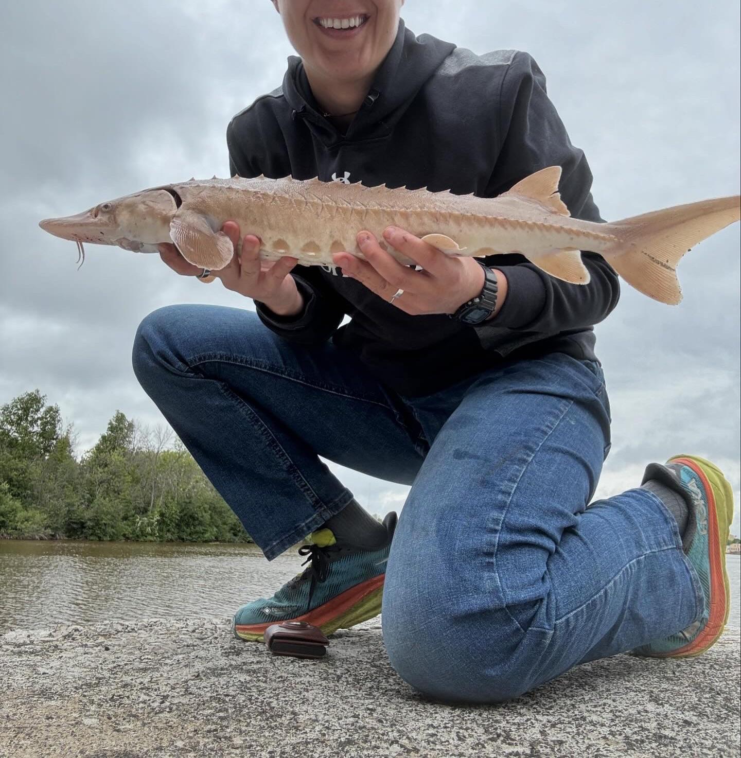 First sturgeon | Scrolller