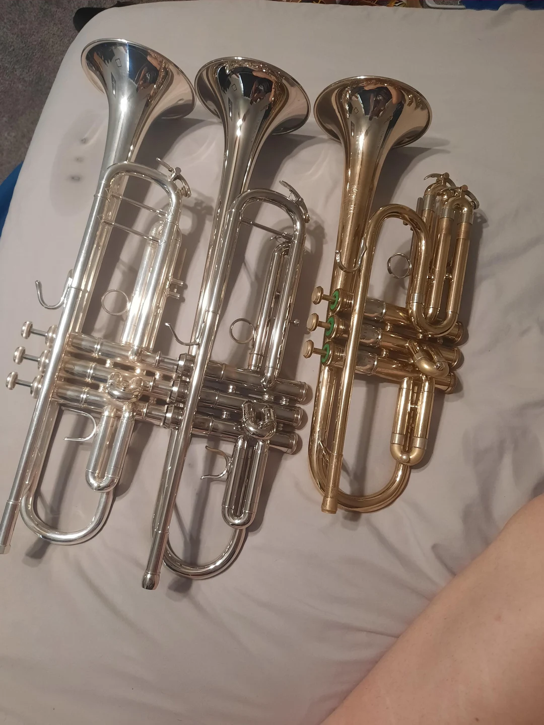 The horns I've played throughout the years | Scrolller