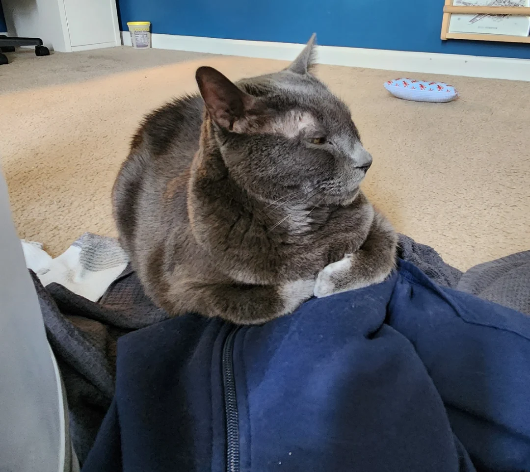 Smug loaf | Scrolller