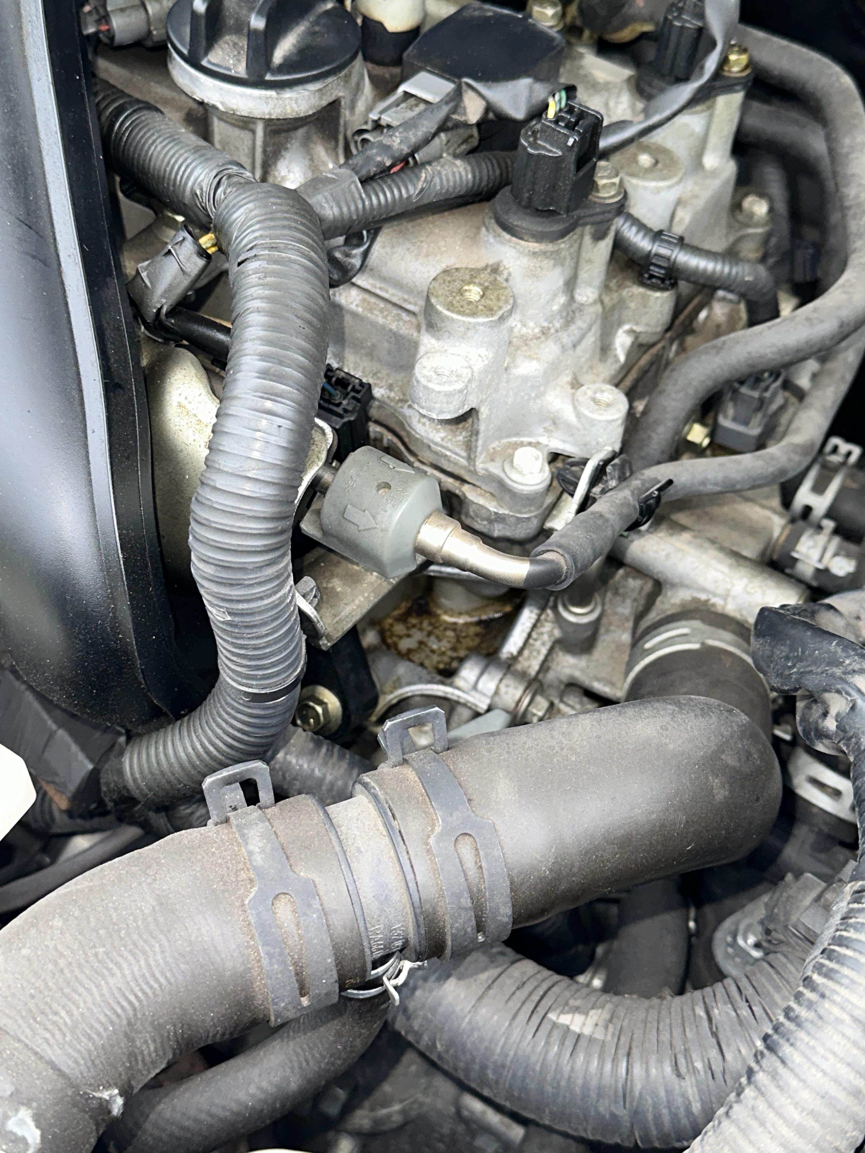 Oil Leak? | Scrolller