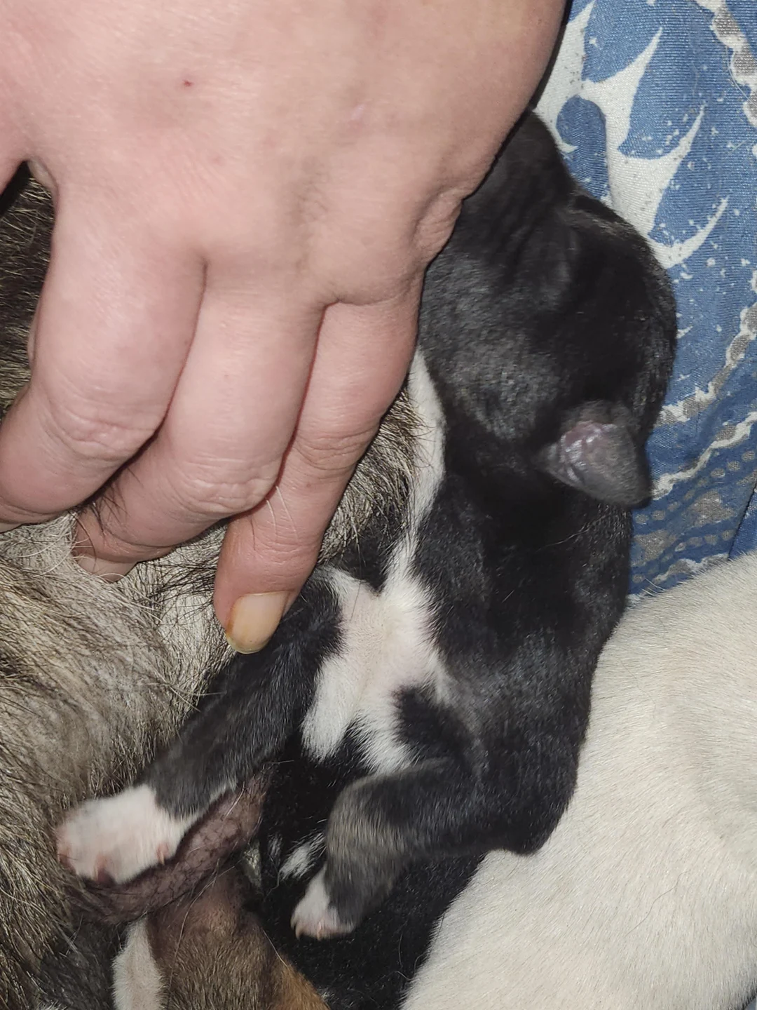 And a star is born! | Scrolller