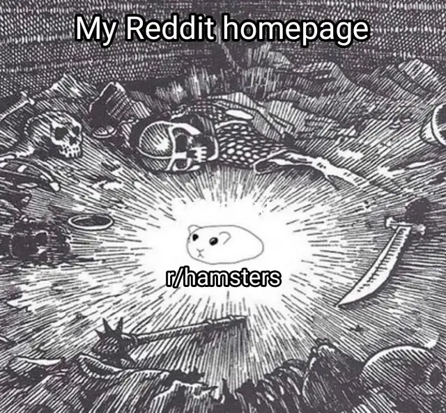 The Power of cute critters | Scrolller