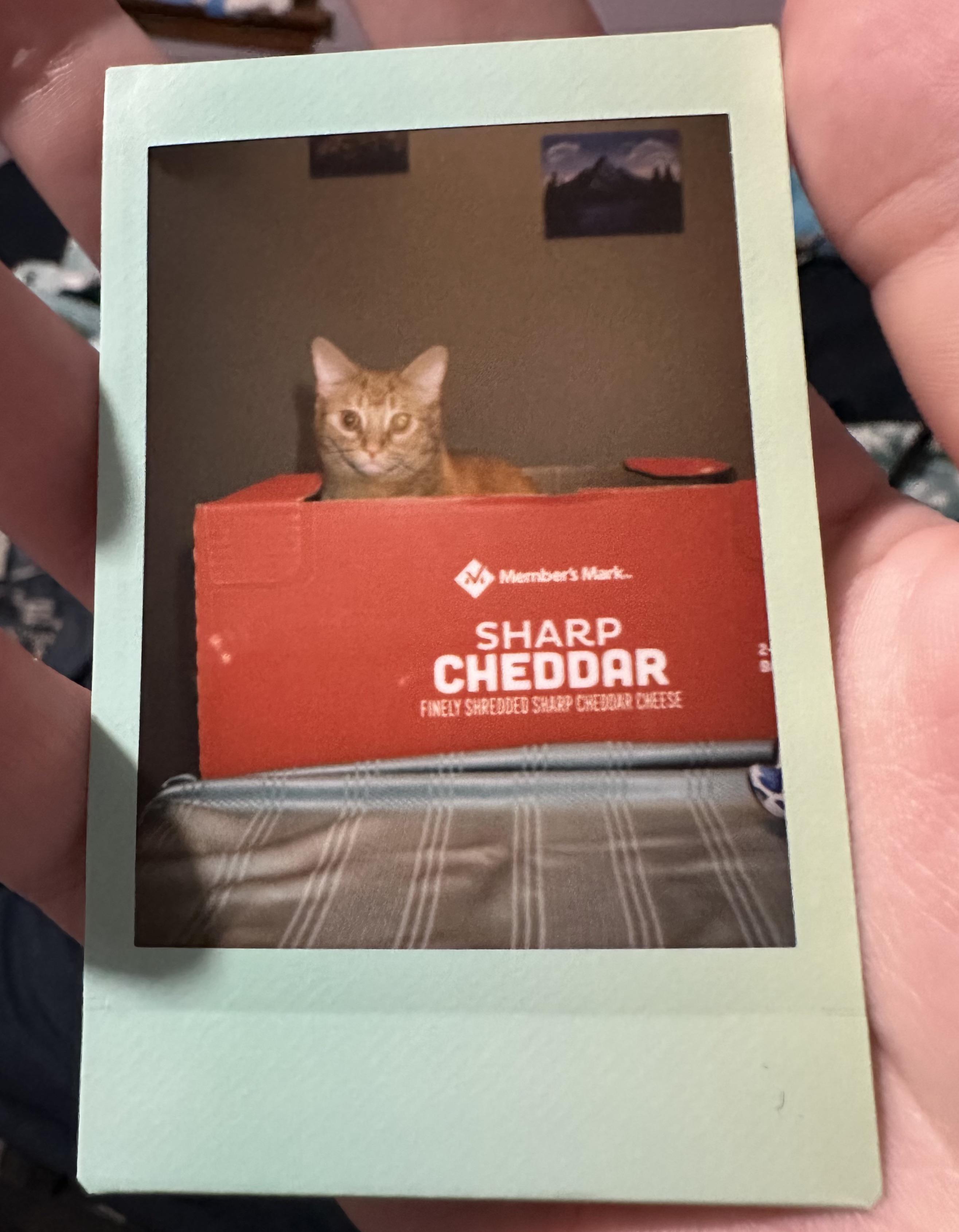 a box of cheese | Scrolller