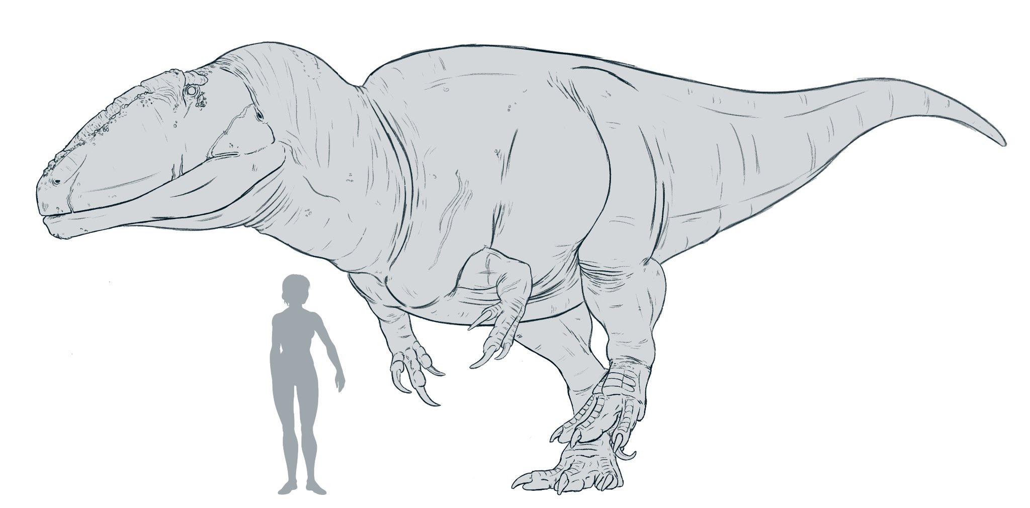 Carcharodontosaurus, the true apex land predator of Cretaceous North Africa | Scrolller