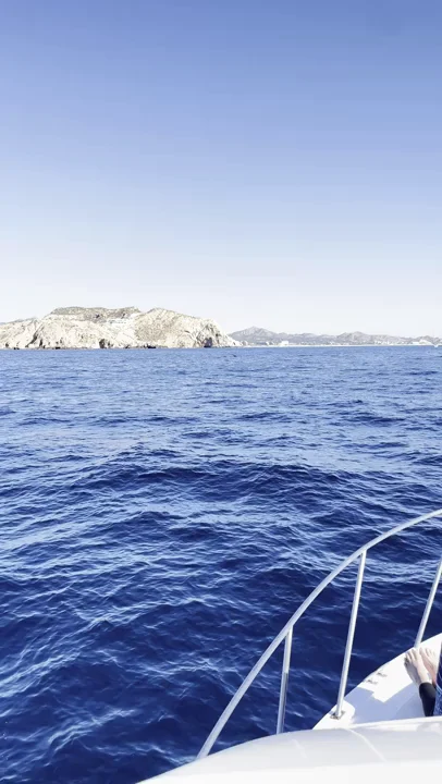 Worst thing ever happened on our surface interval in Cabo… | Scrolller