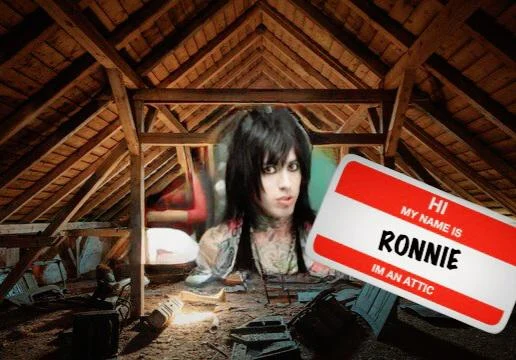 Hi, my name is Ronnie, I'm an attic | Scrolller