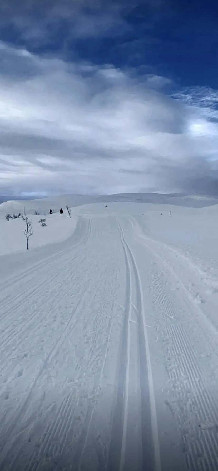 Beautiful day for some cross country skiing | Scrolller