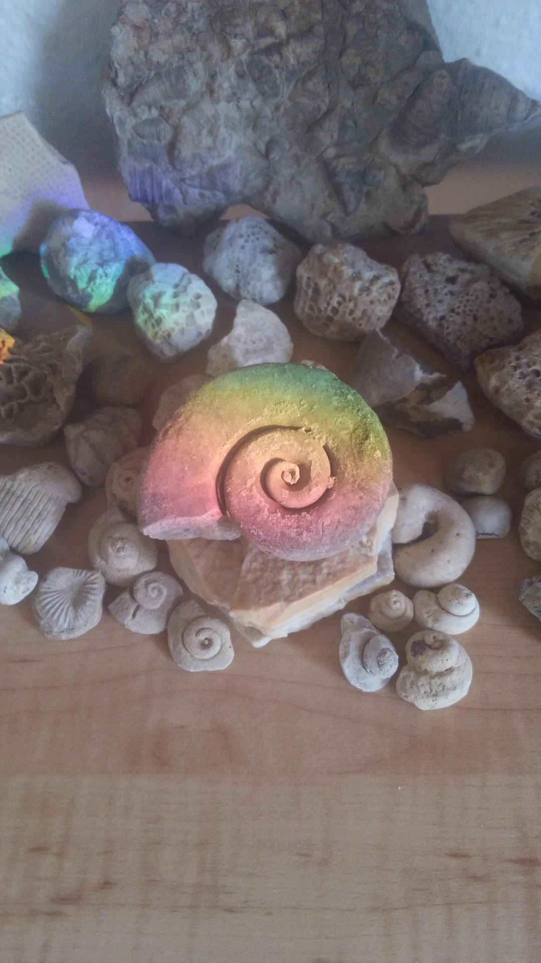 This is my BEST fossil 😸 | Scrolller